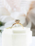 Serein Ring - Round S&P Diamond Engagement Ring l HIDDENSPACE